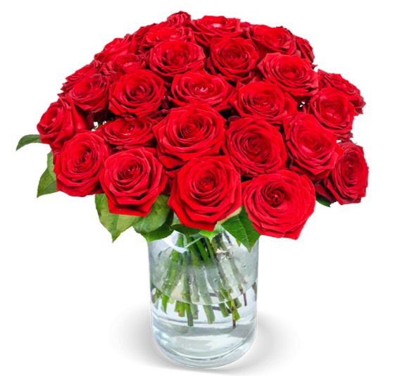 Blume Ideal: Red Noami Rosen mit 7 Tage Frischegarantie