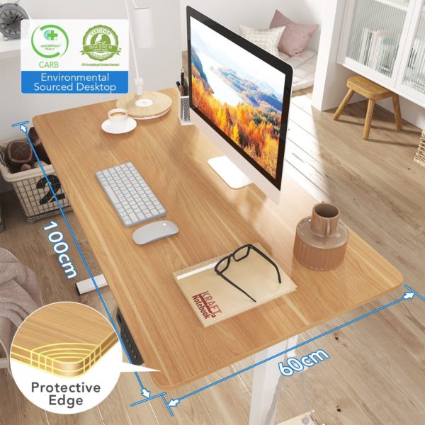 Flexispot elektrisch höhenverstellbarer Schreibtisch