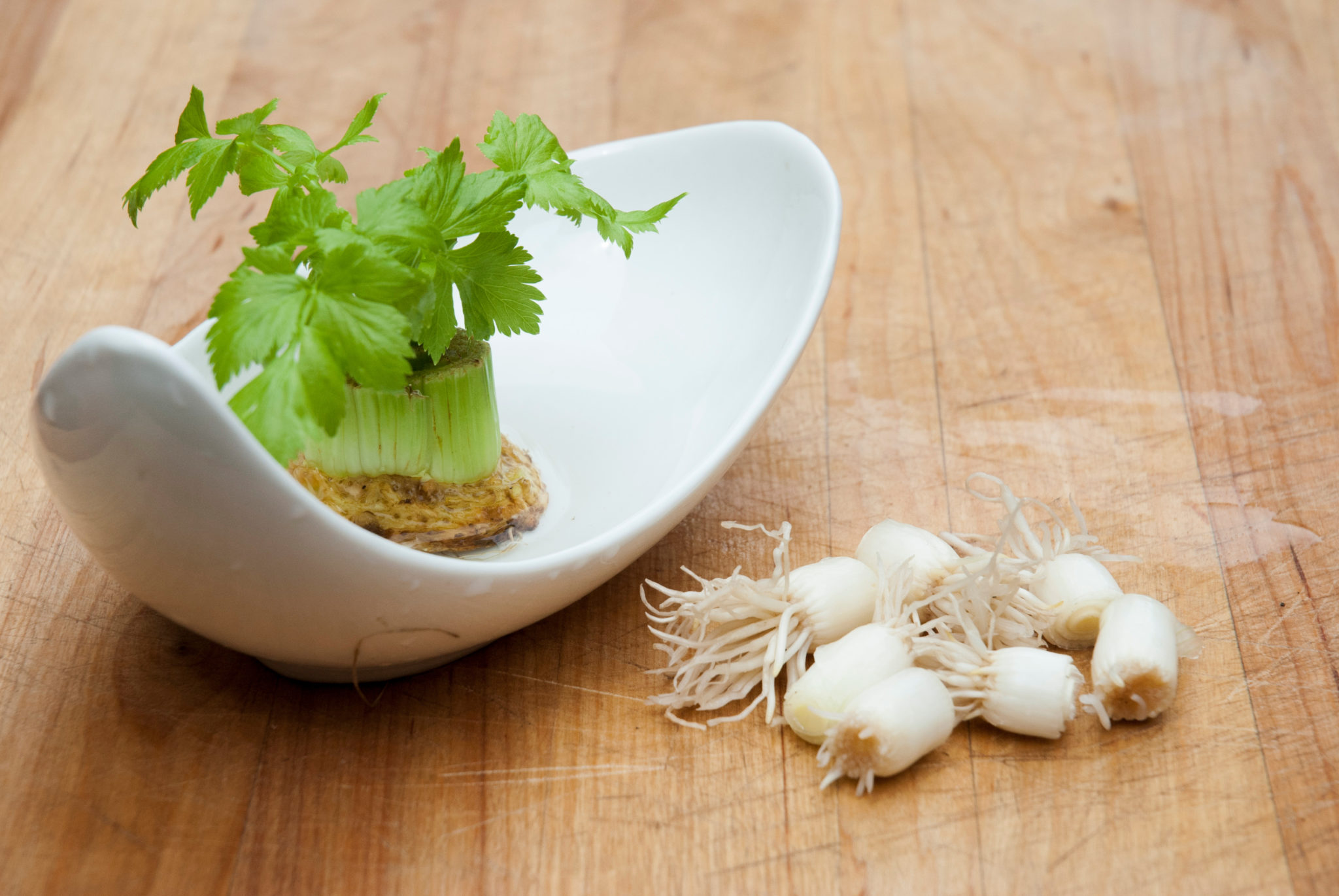 Statt in den Müll 🥬 Gemüse, Obst & Co. einfach nachwachsen lassen ...